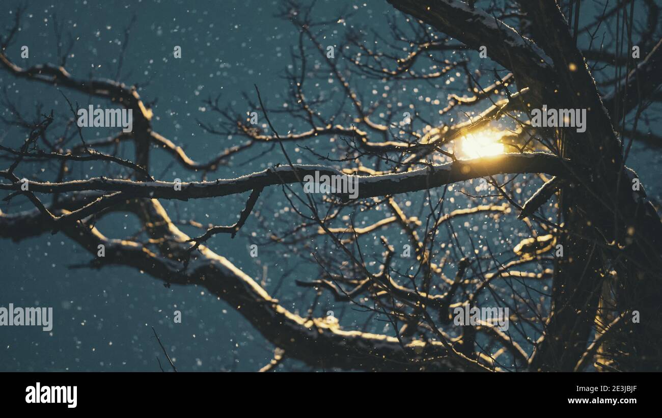 Night photography street hi-res stock photography and images - Alamy