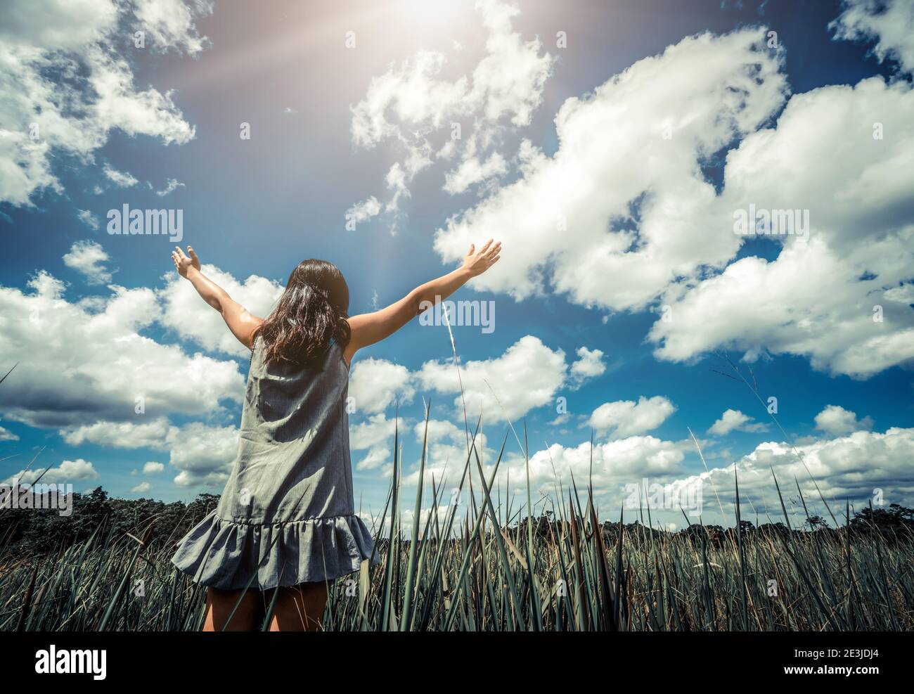 Woman autumn fun sun arms hi-res stock photography and images - Alamy