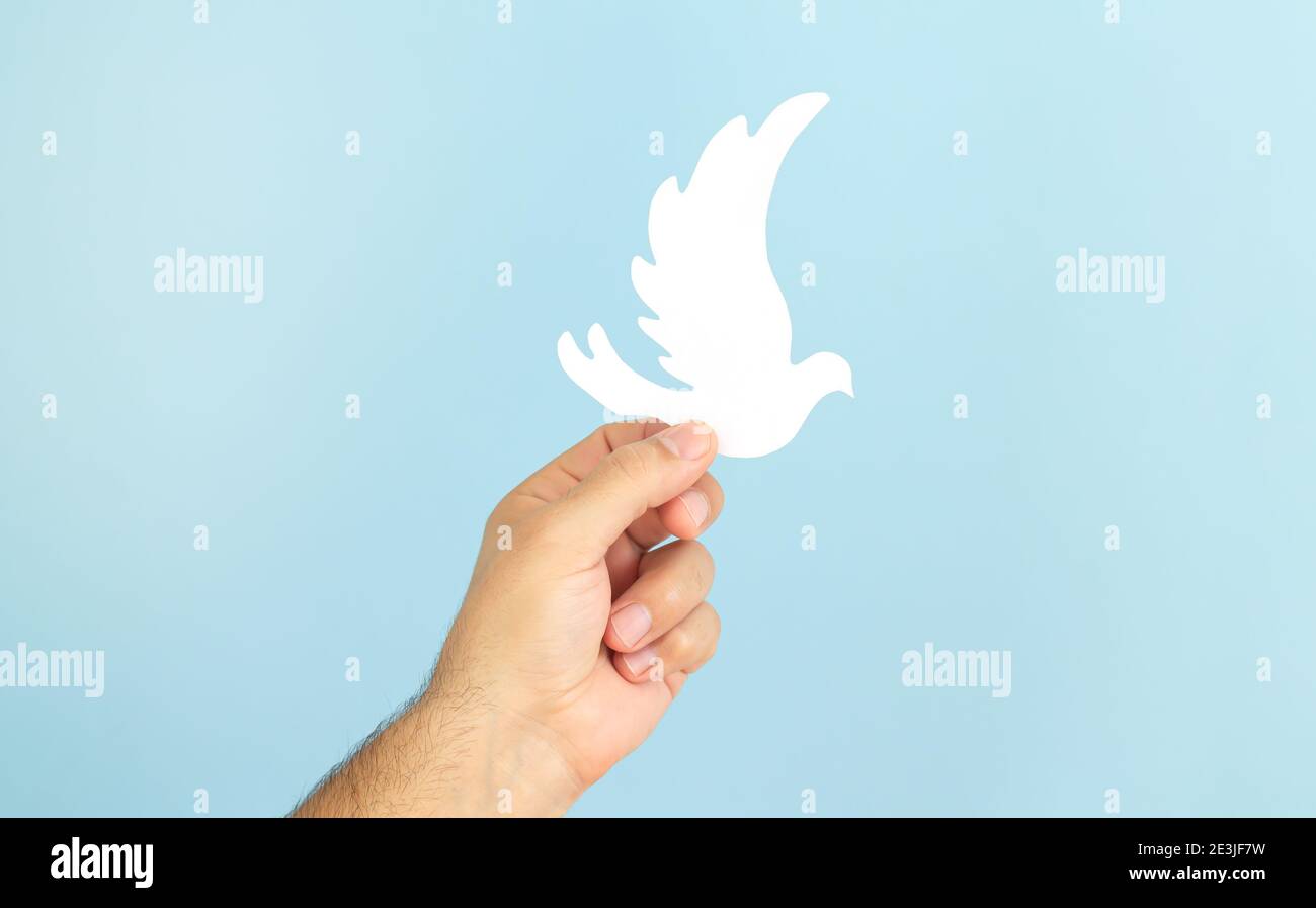 Hand holding dove hi-res stock photography and images - Alamy