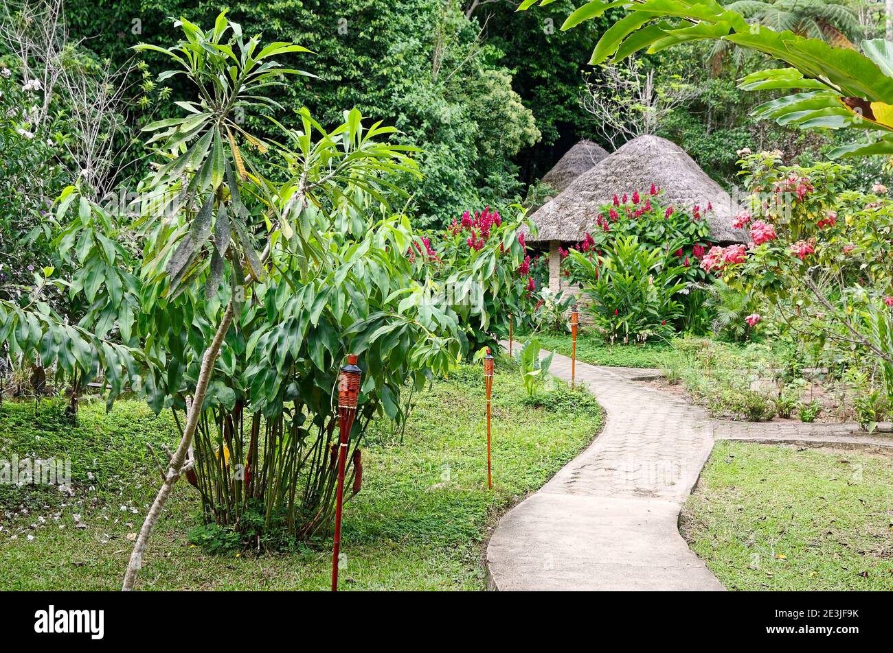 walking path through lush vegetation, curving, flowers, shrubs, trees ...