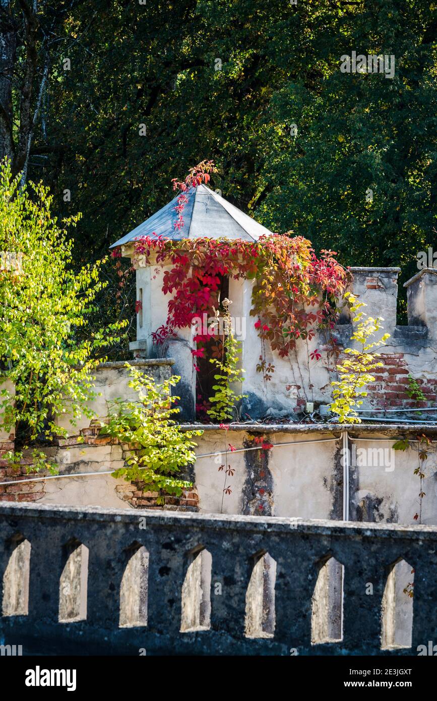 Castle Bosiljevo, medieval castle owned by Frankopan family and now in ...