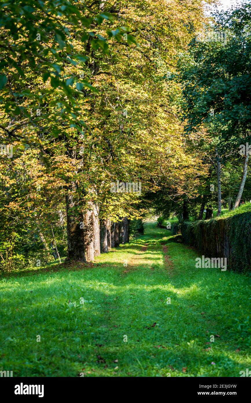 Bosiljevo High Resolution Stock Photography and Images - Alamy