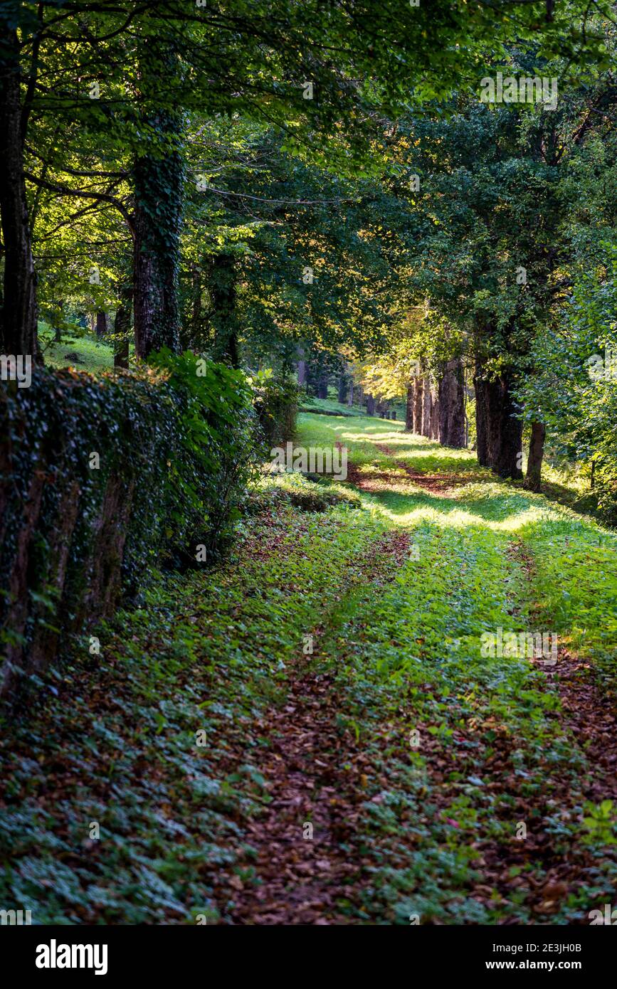 Frankopan family hi-res stock photography and images - Alamy