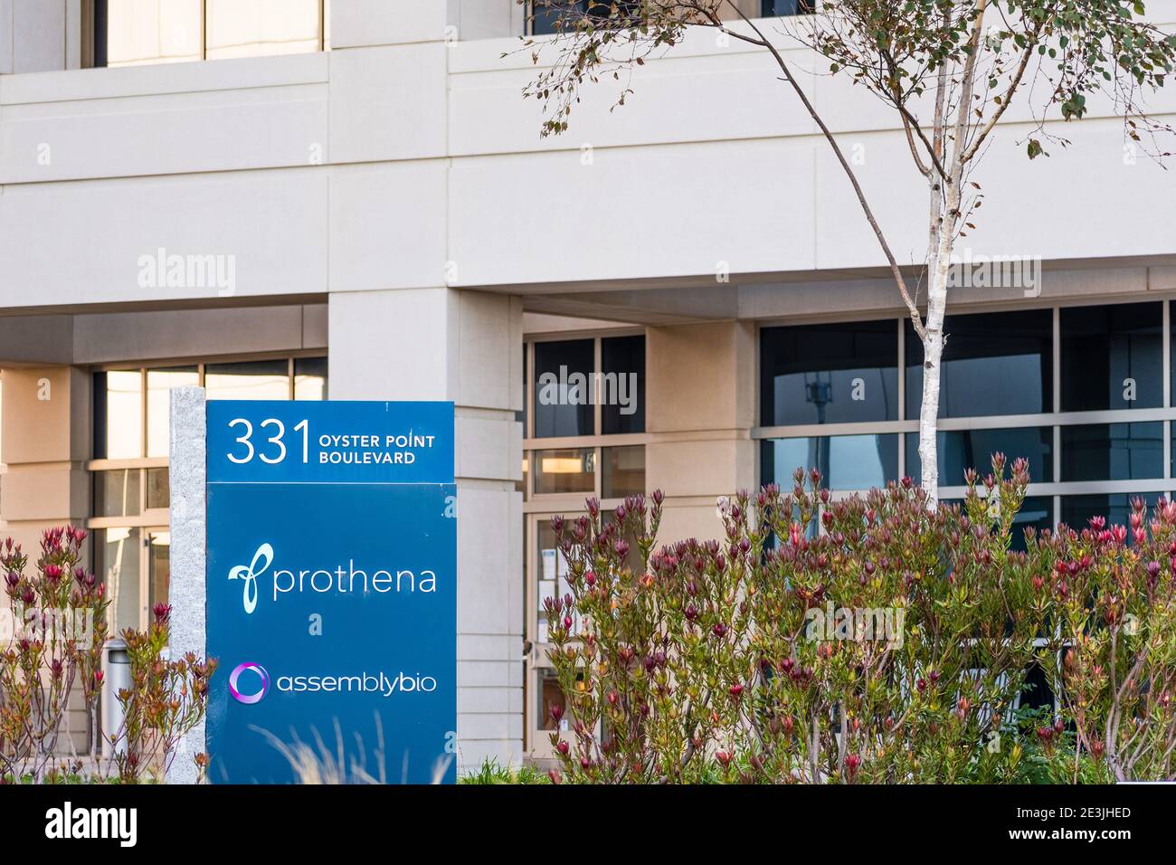 Prothena corporation plc hi-res stock photography and images - Alamy