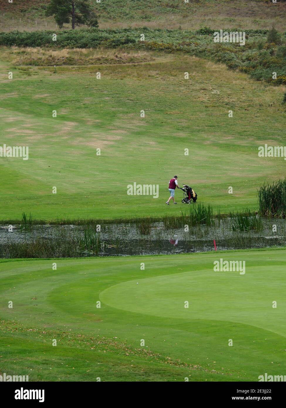 a green rolling golf course with a lake and a single golfer pushing his ...