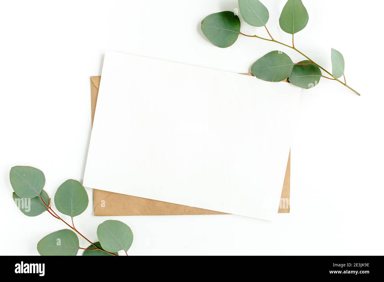 Mockup invitation, blank greeting card and green leaves eucalyptus ...