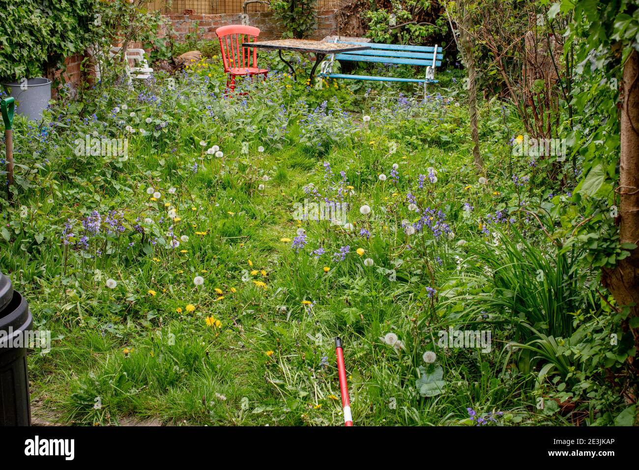 Untidy house hi-res stock photography and images - Alamy