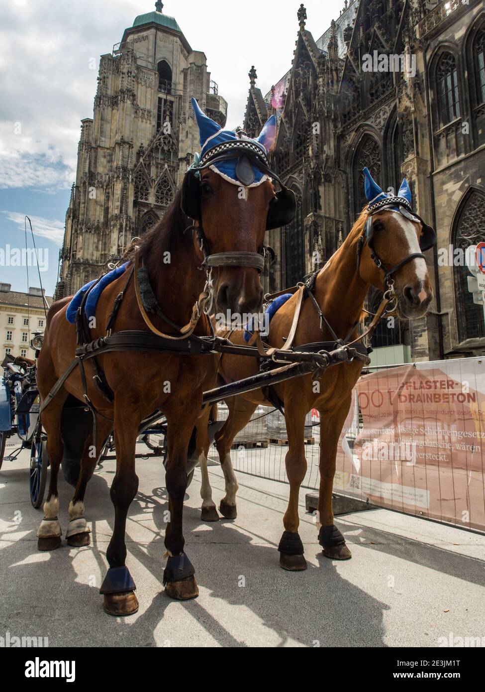 Roman horse carriage hi-res stock photography and images - Alamy