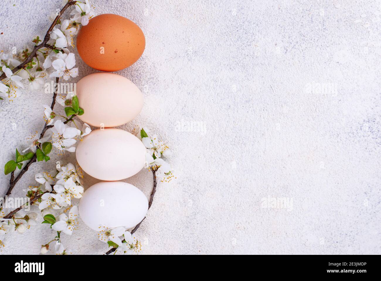 Chicken eggs gradient from light to dark Stock Photo - Alamy