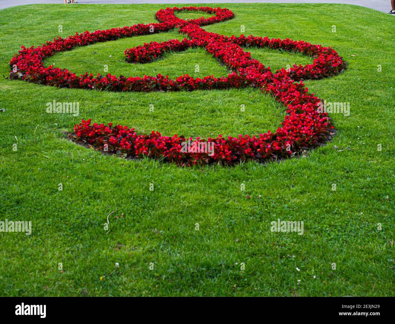 Treble clef flowers hi-res stock photography and images - Alamy