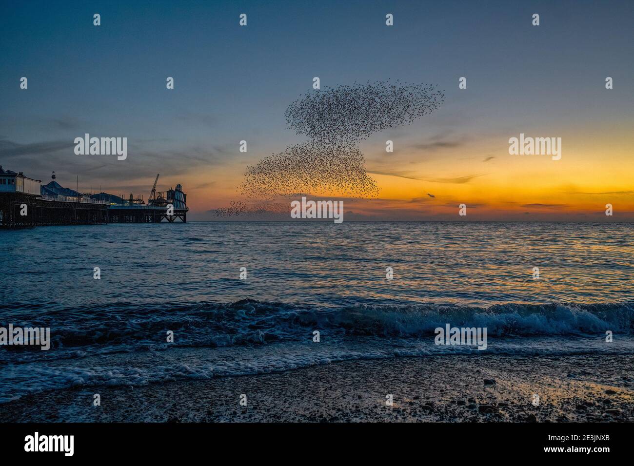Murmuration hi-res stock photography and images - Alamy