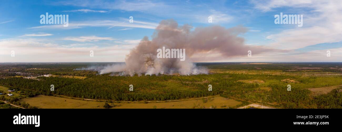Aerial panorama controlled forest burn in woods Stock Photo - Alamy