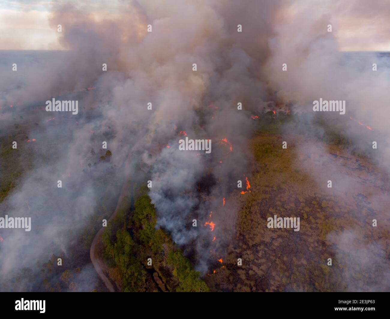Aerial view controlled forest fire hi-res stock photography and images ...