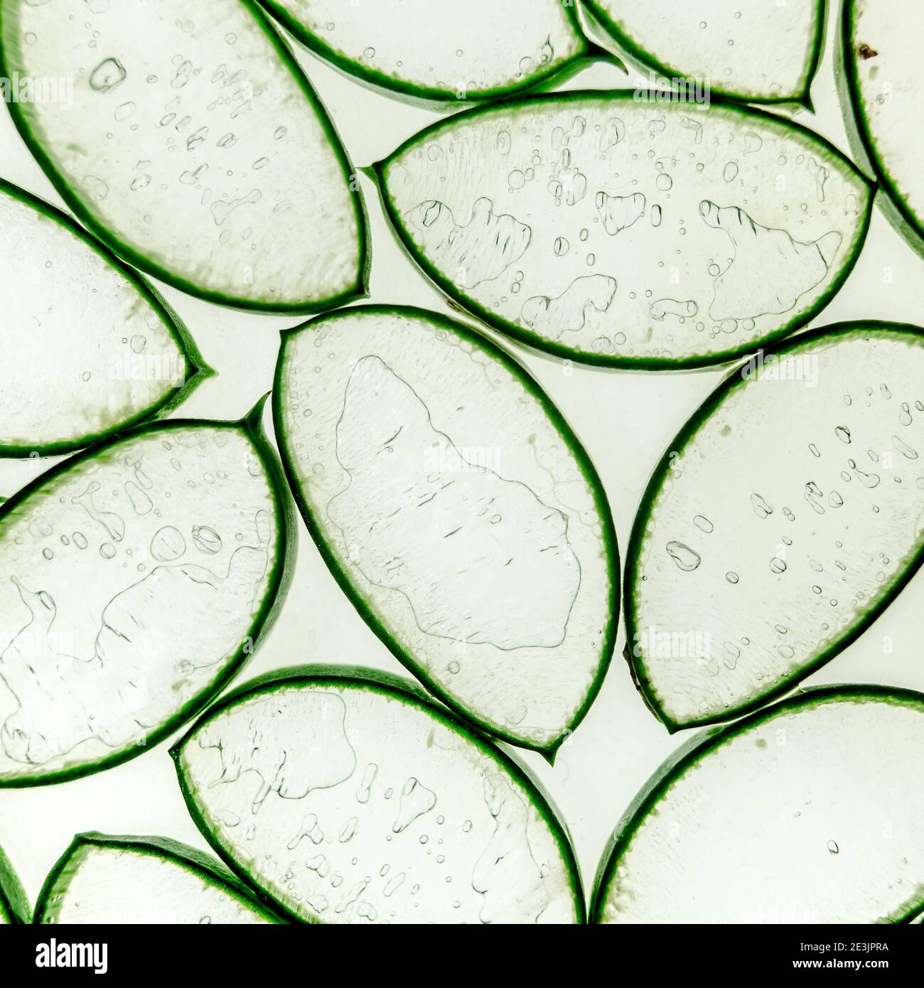 Aloe vera slice texture background. Medicinal plant. Used to treat and ...