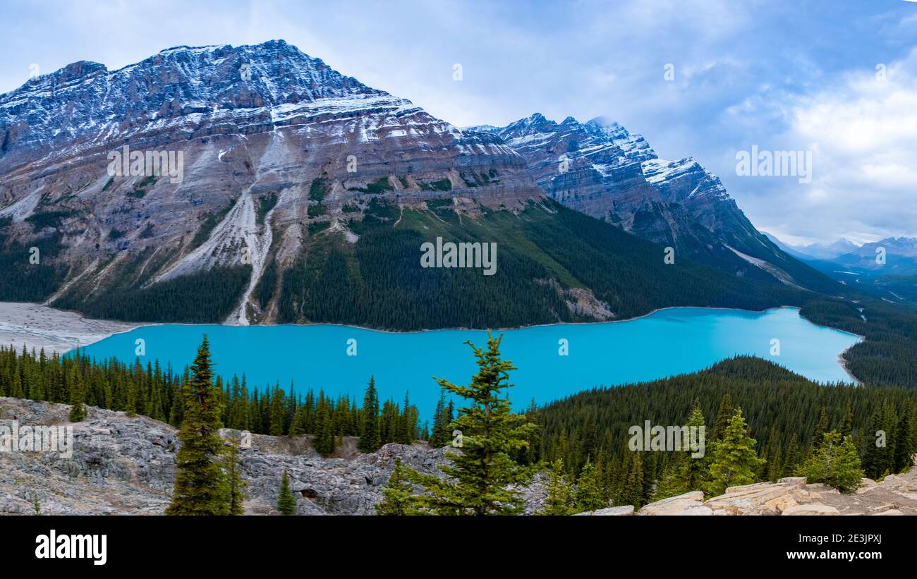 Turquoise Lake Peyto in Banff National Park, Canada. Mountain Lake as a ...