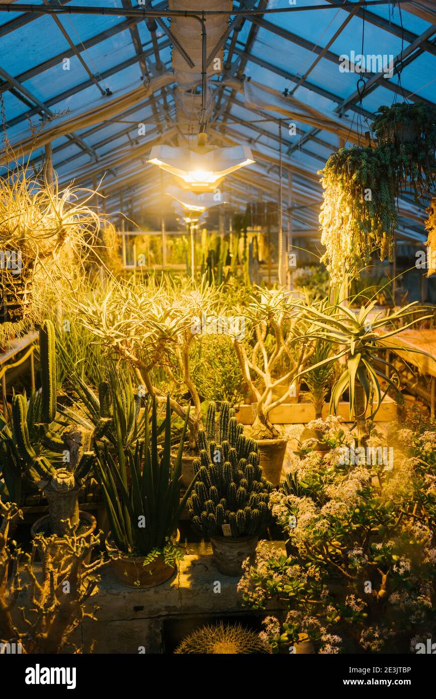 Greenhouse in botanic garden hi-res stock photography and images - Alamy
