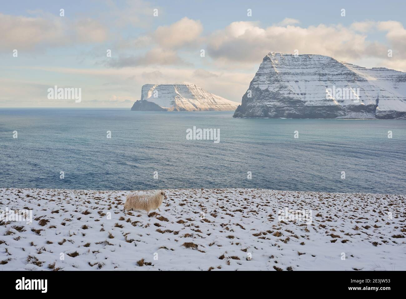 Shee water hi-res stock photography and images - Alamy