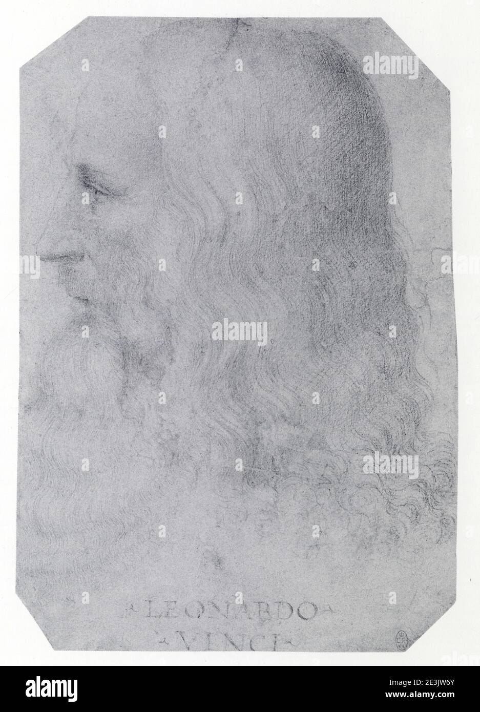 FRANCESCO MELZI. LEONARDO DA VINCI Stock Photo - Alamy