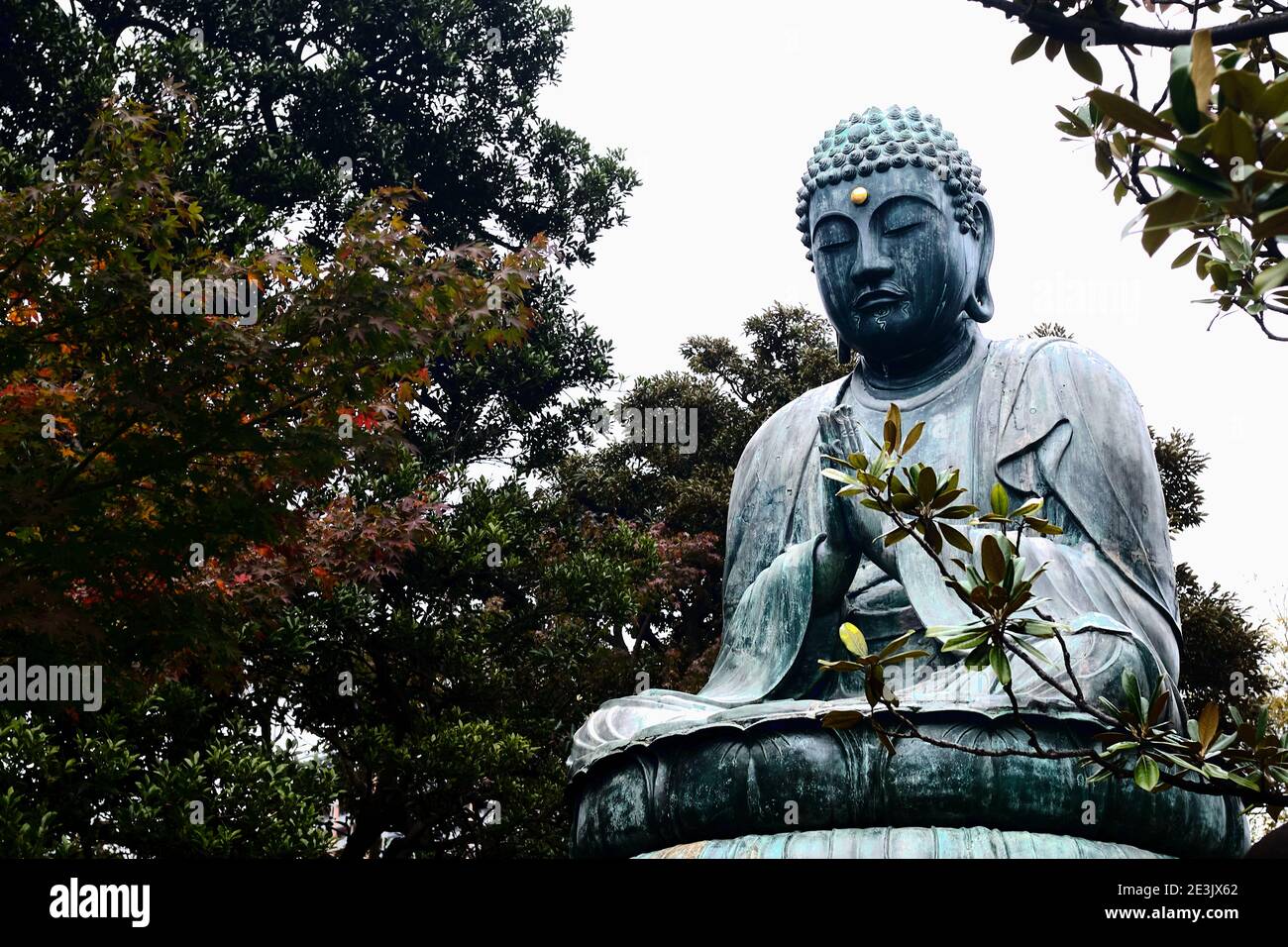 Buddha statue hi-res stock photography and images - Alamy