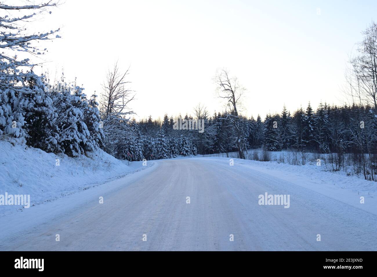 Driving in forest hi-res stock photography and images - Alamy