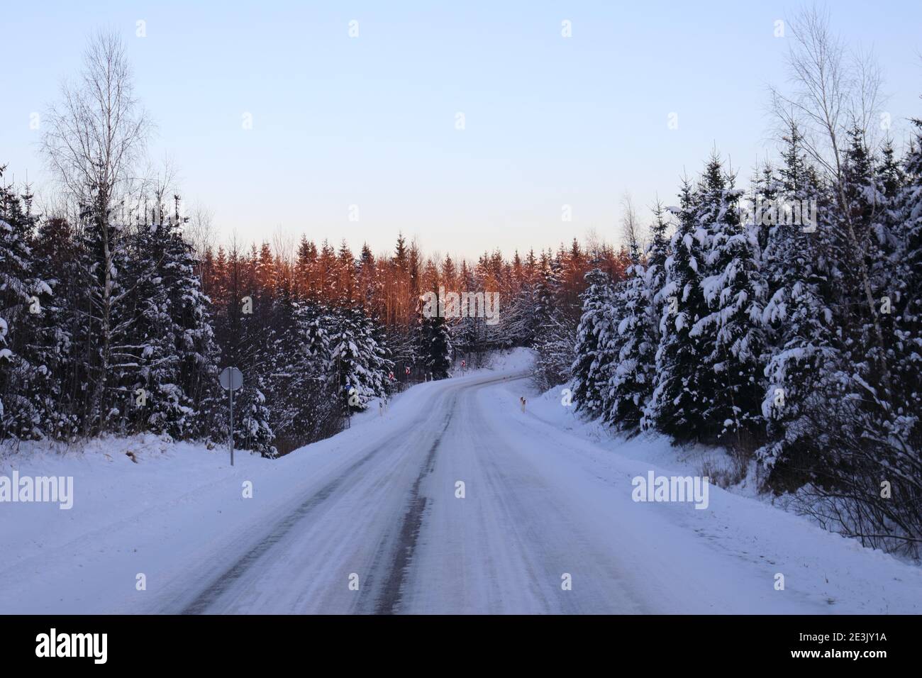 Picturesque snowy forest hi-res stock photography and images - Alamy