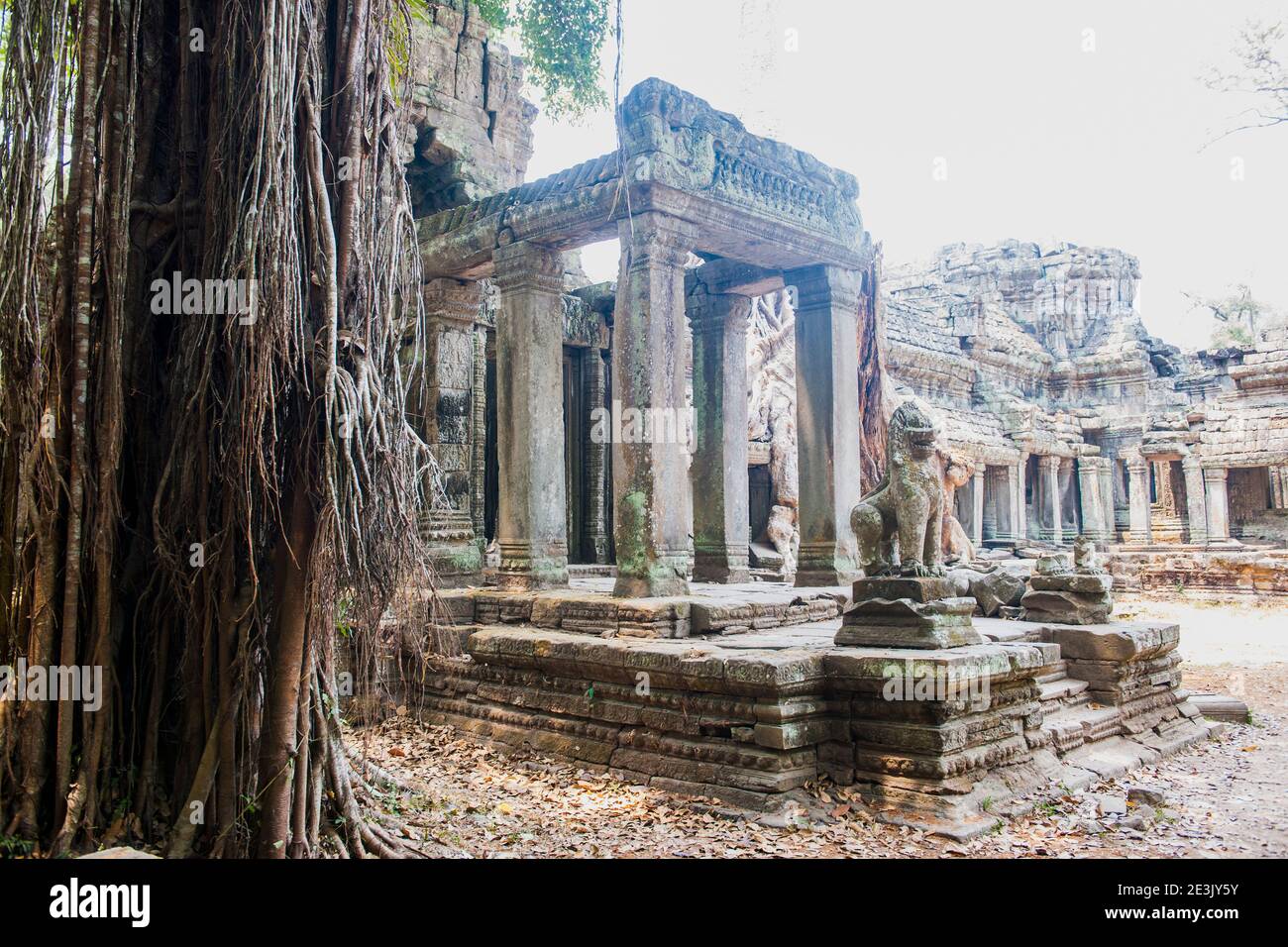 building detail at the ancient ruins of Angkor Wat Stock Photo - Alamy