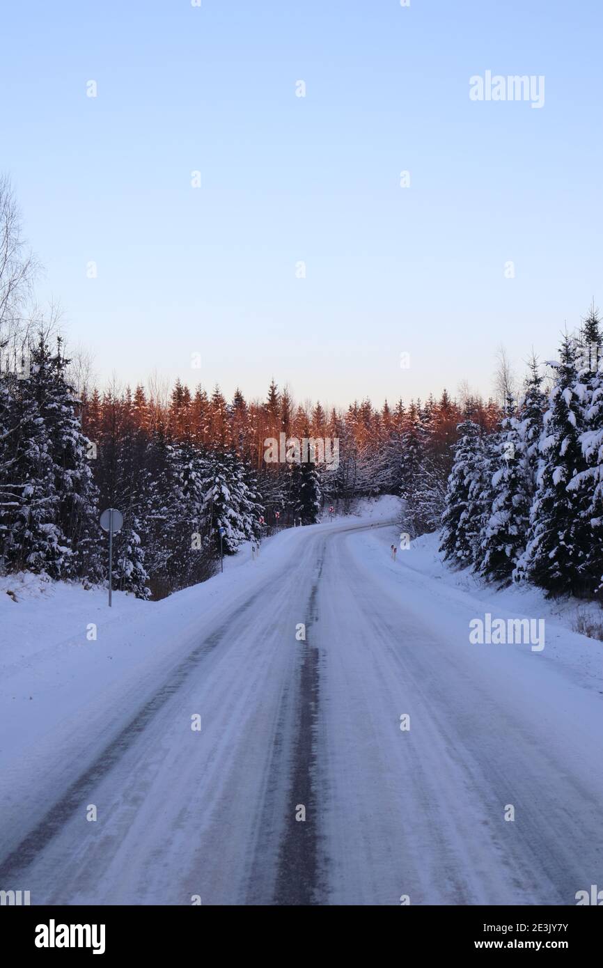 Picturesque snowy forest hi-res stock photography and images - Alamy