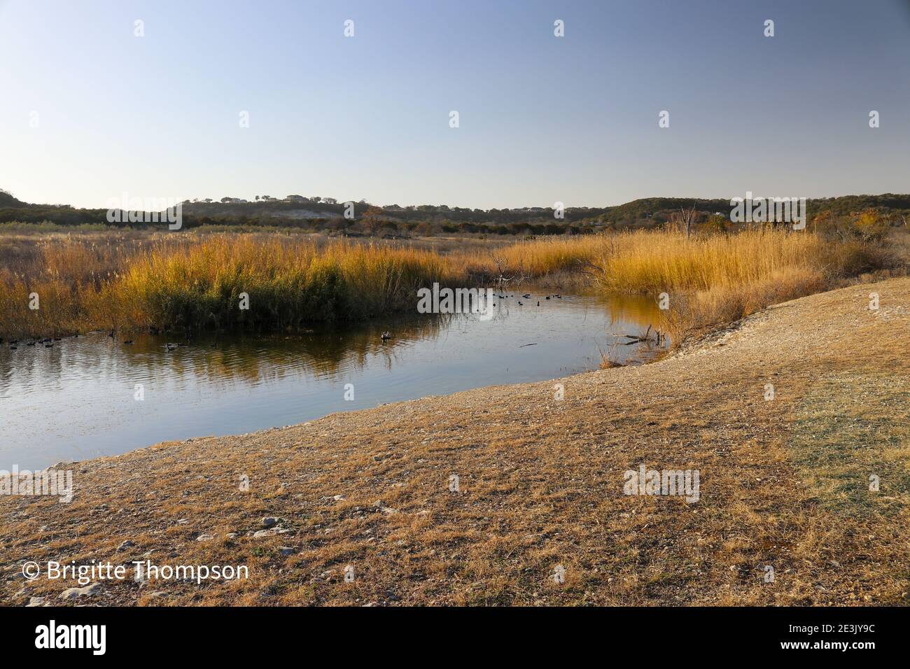 Texas parks and wildlife hi-res stock photography and images - Alamy
