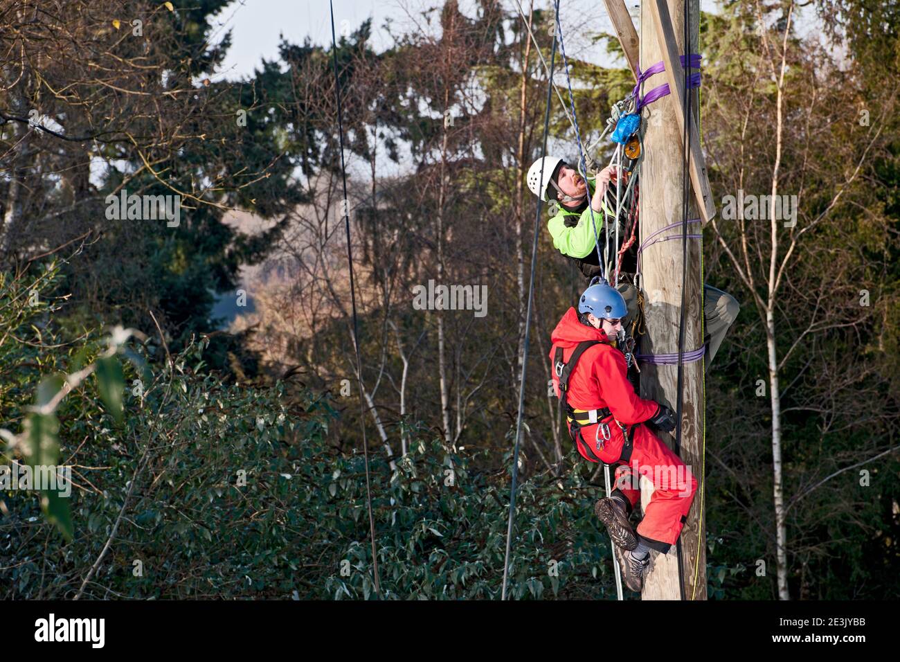 two men working on wooden pole at high rope training exercise Stock ...