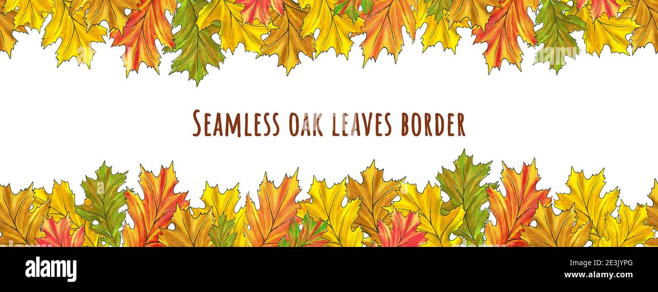 Oak Leaf Border Clip Art