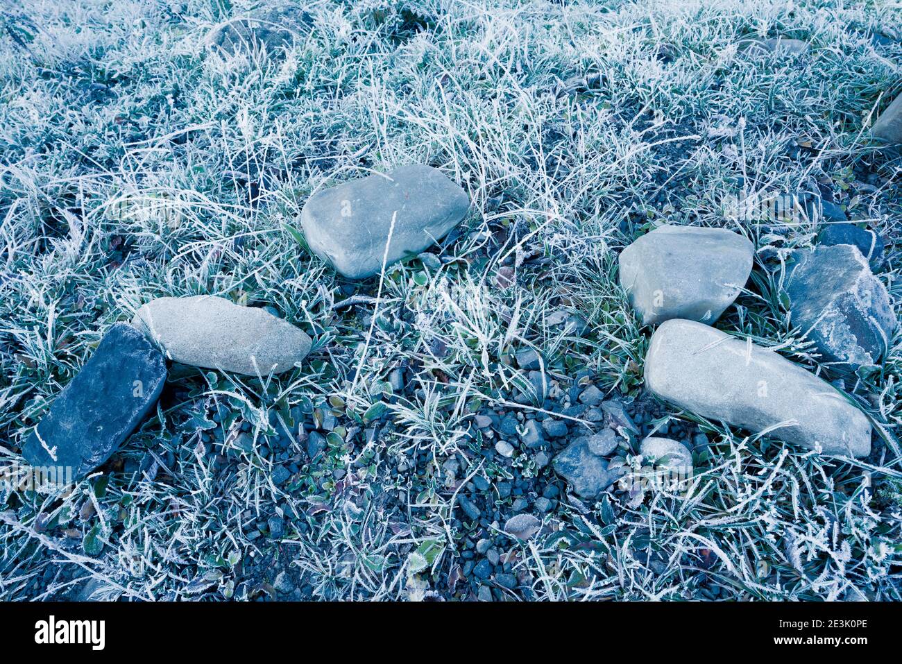 Frozen grass background and texture in landscape view Stock Photo - Alamy