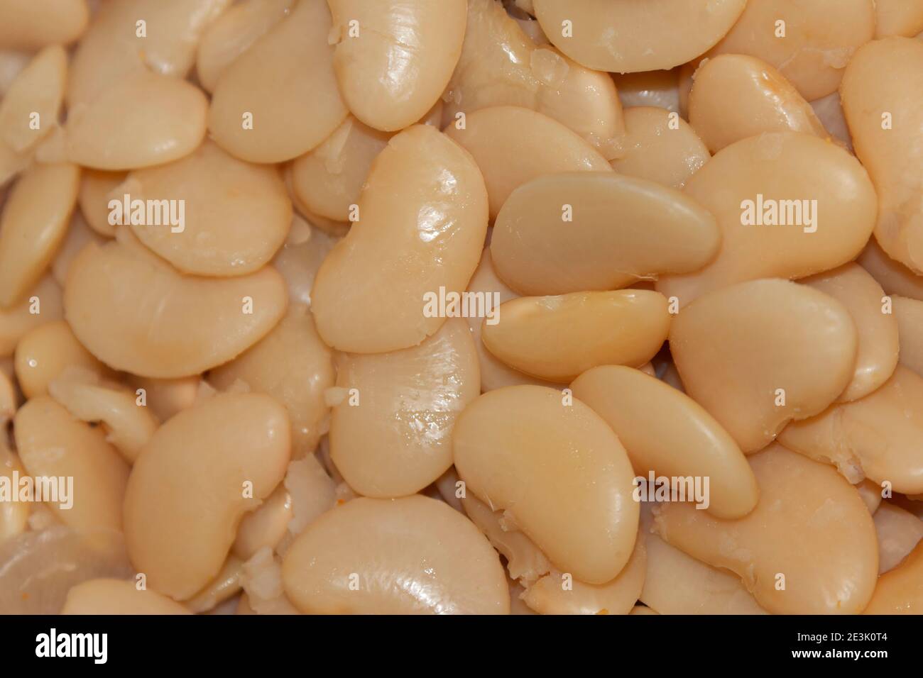 Indian beans hi-res stock photography and images - Alamy