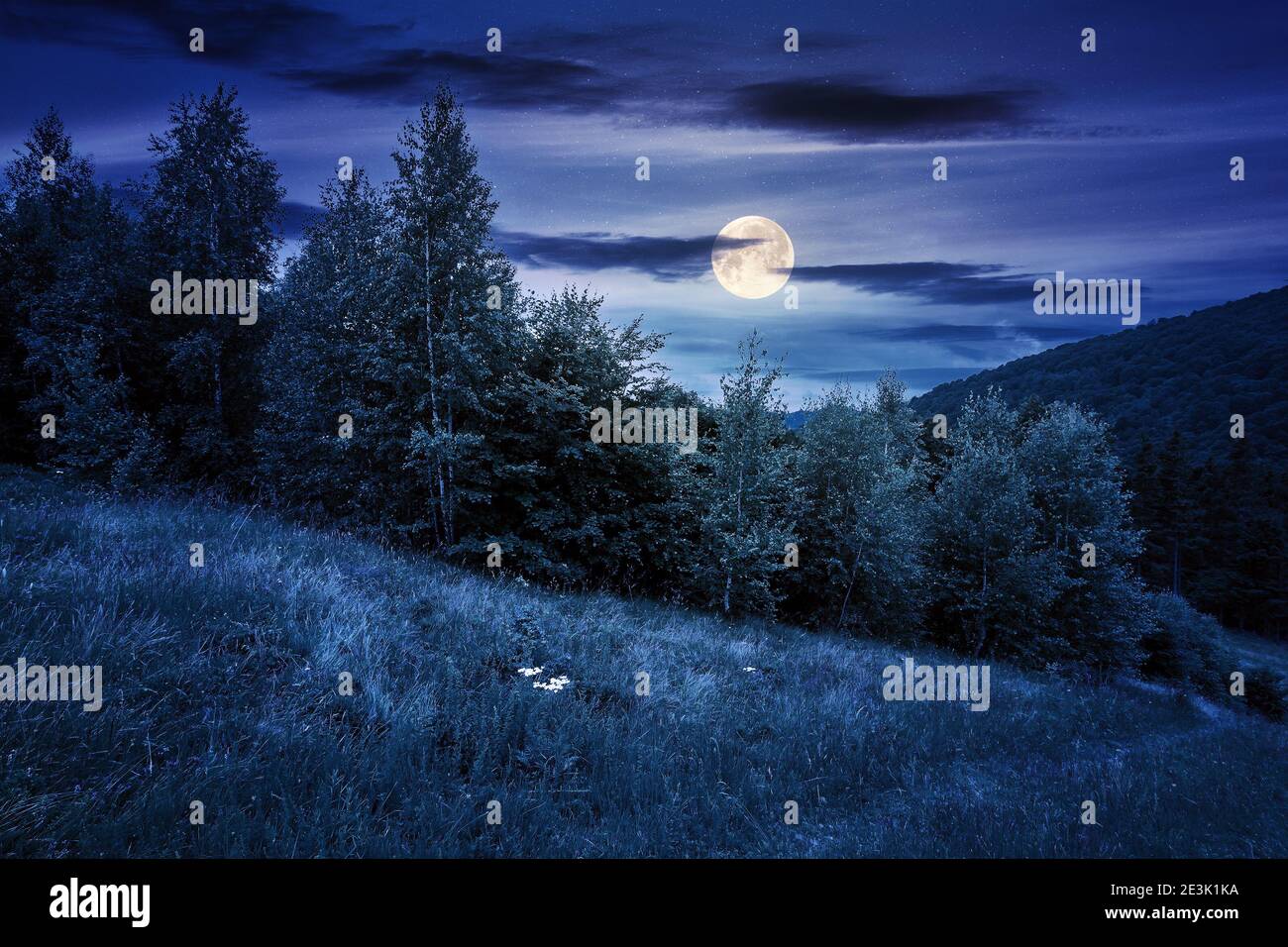 Full moon landscape trees hi-res stock photography and images - Alamy