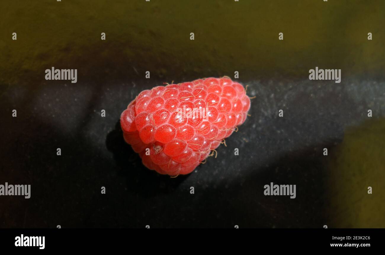 Tray delicious raspberry dessert hi-res stock photography and images ...