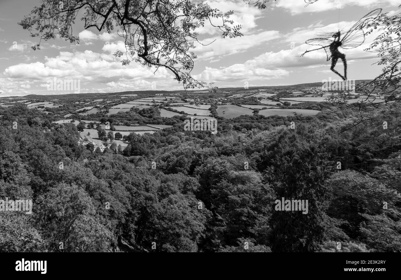 Panoramic photo from the top of the waterfall at Canonteign Falls ...