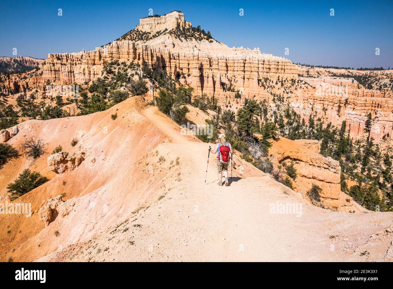 Fairyland hi-res stock photography and images - Alamy