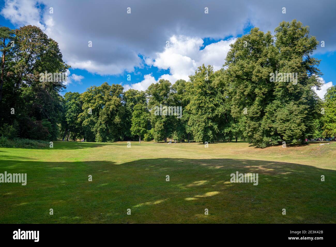 Open grass areas hi-res stock photography and images - Alamy