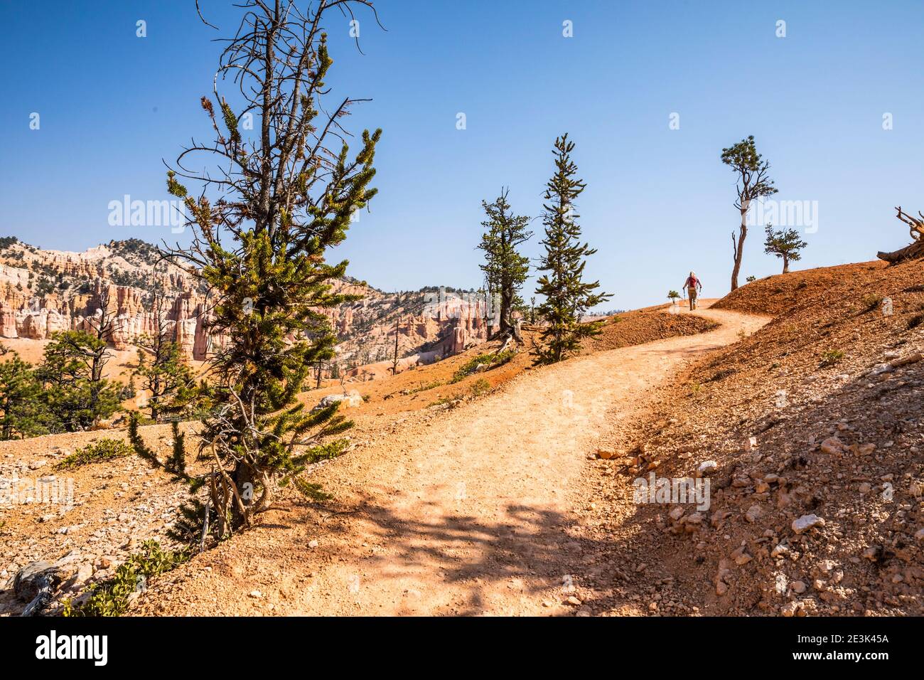 Fairyland hi-res stock photography and images - Alamy