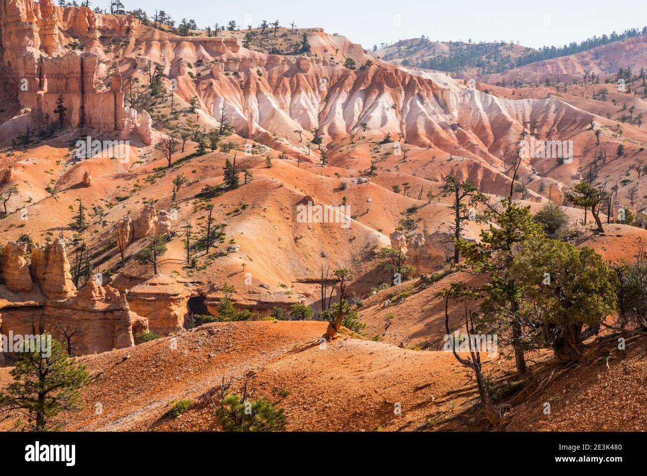 The spectacular landscape along the Fairyland Loop Trail, Bryce Canyon ...