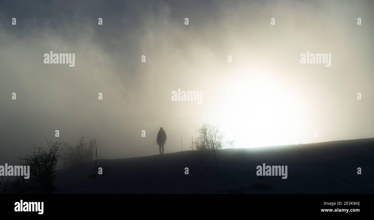 Guided by light Stock Photo - Alamy