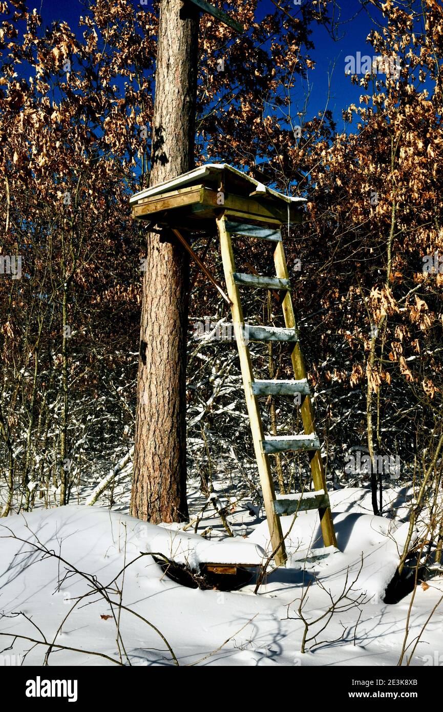 Deer hunters stand covered in snow Stock Photo - Alamy
