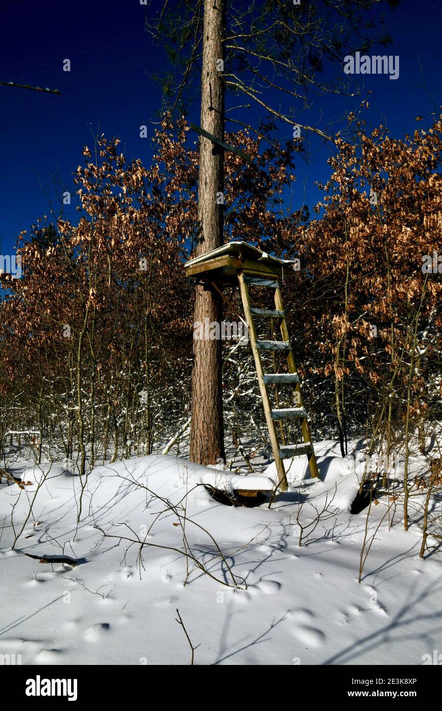 The hunters in the snow hi-res stock photography and images - Alamy