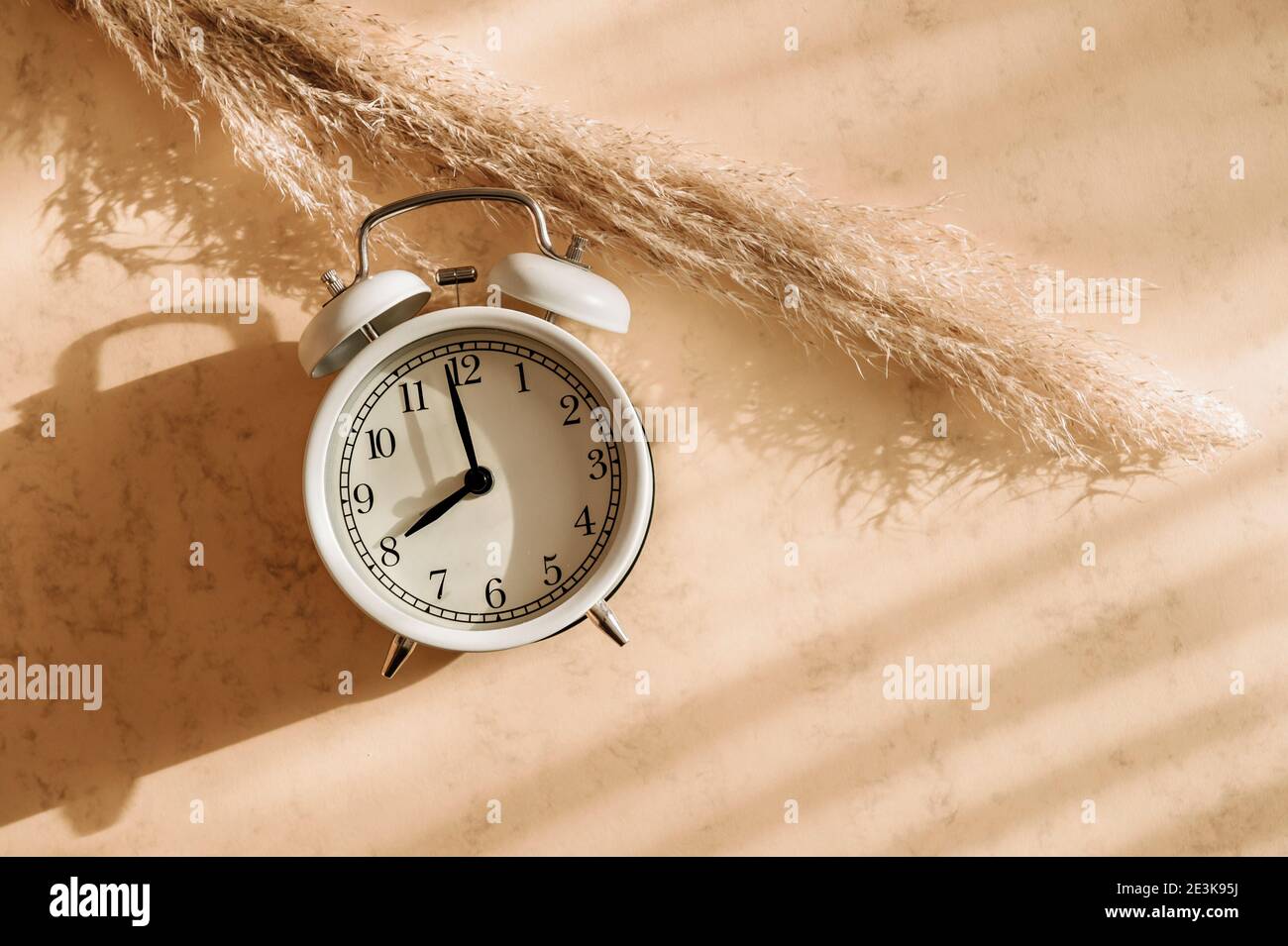 Clock alarm and pampas grass on beige background. Boho style concept ...