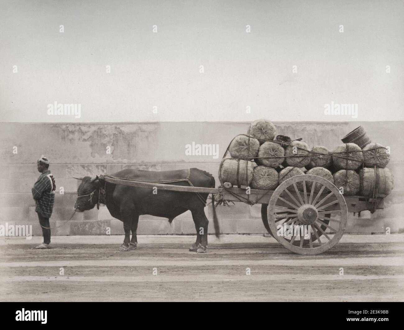 19th century vintage photograph: Bull, ox cart loaded with bales, Japan ...