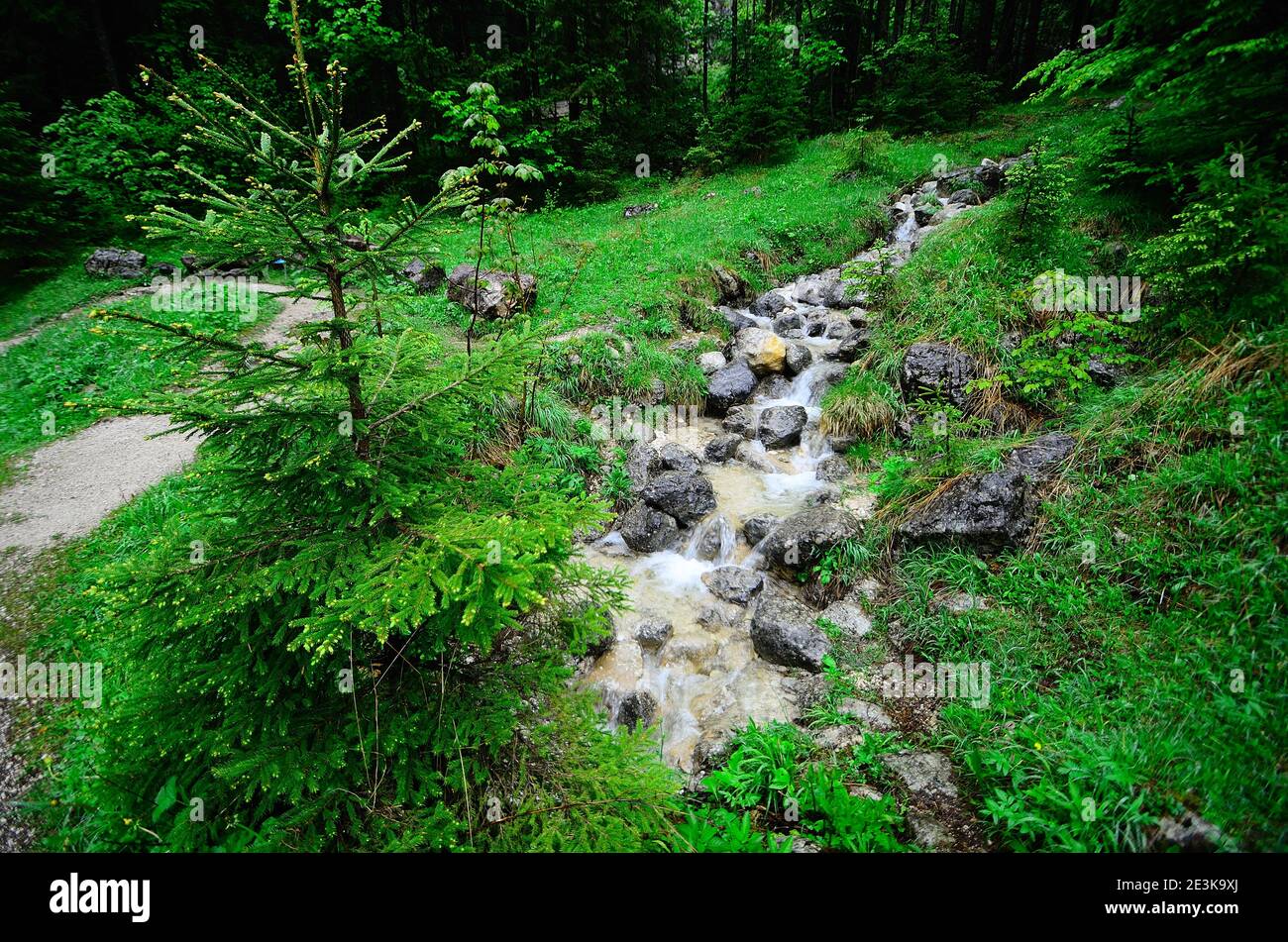Small rain pond hi-res stock photography and images - Alamy