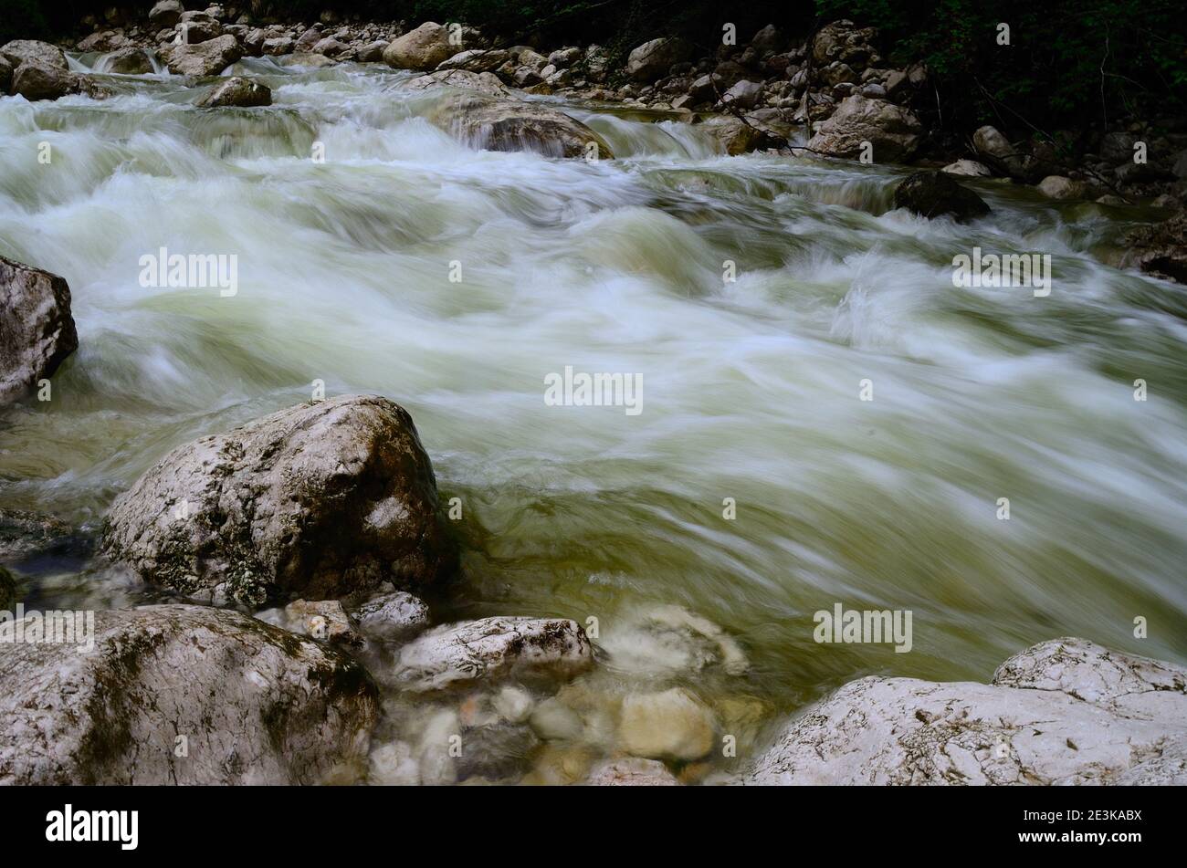 wild pure water in a mountain stream Stock Photo - Alamy