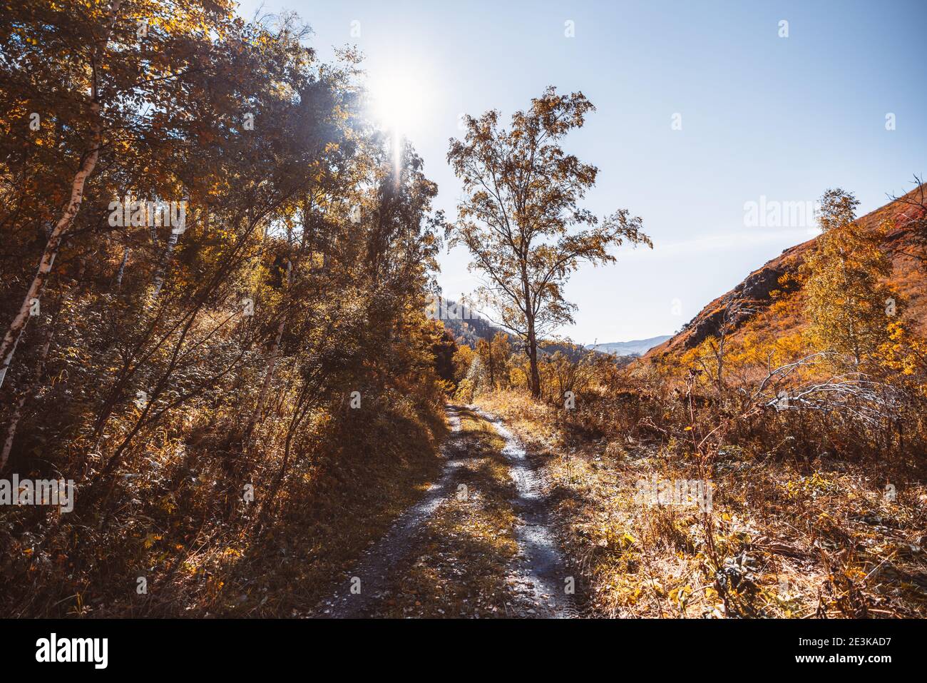 Beautiful hills in warm autumn hi-res stock photography and images - Alamy