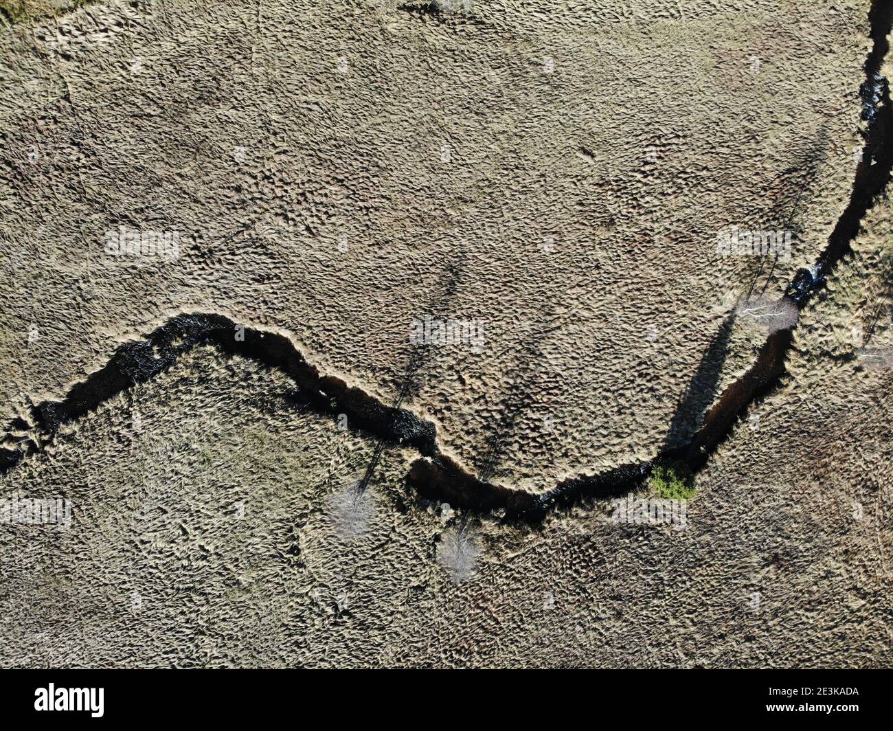 Above swamp hi-res stock photography and images - Alamy