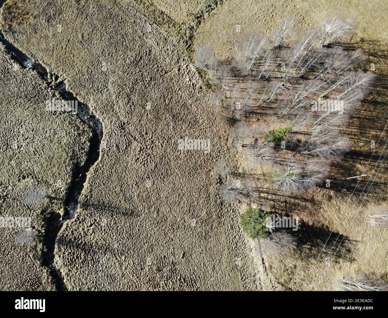 Aerial view at river canyon and dry swamp in czech republic Stock Photo ...