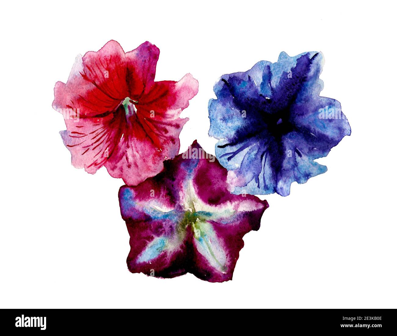 Multi hobbies illustration hi-res stock photography and images - Alamy